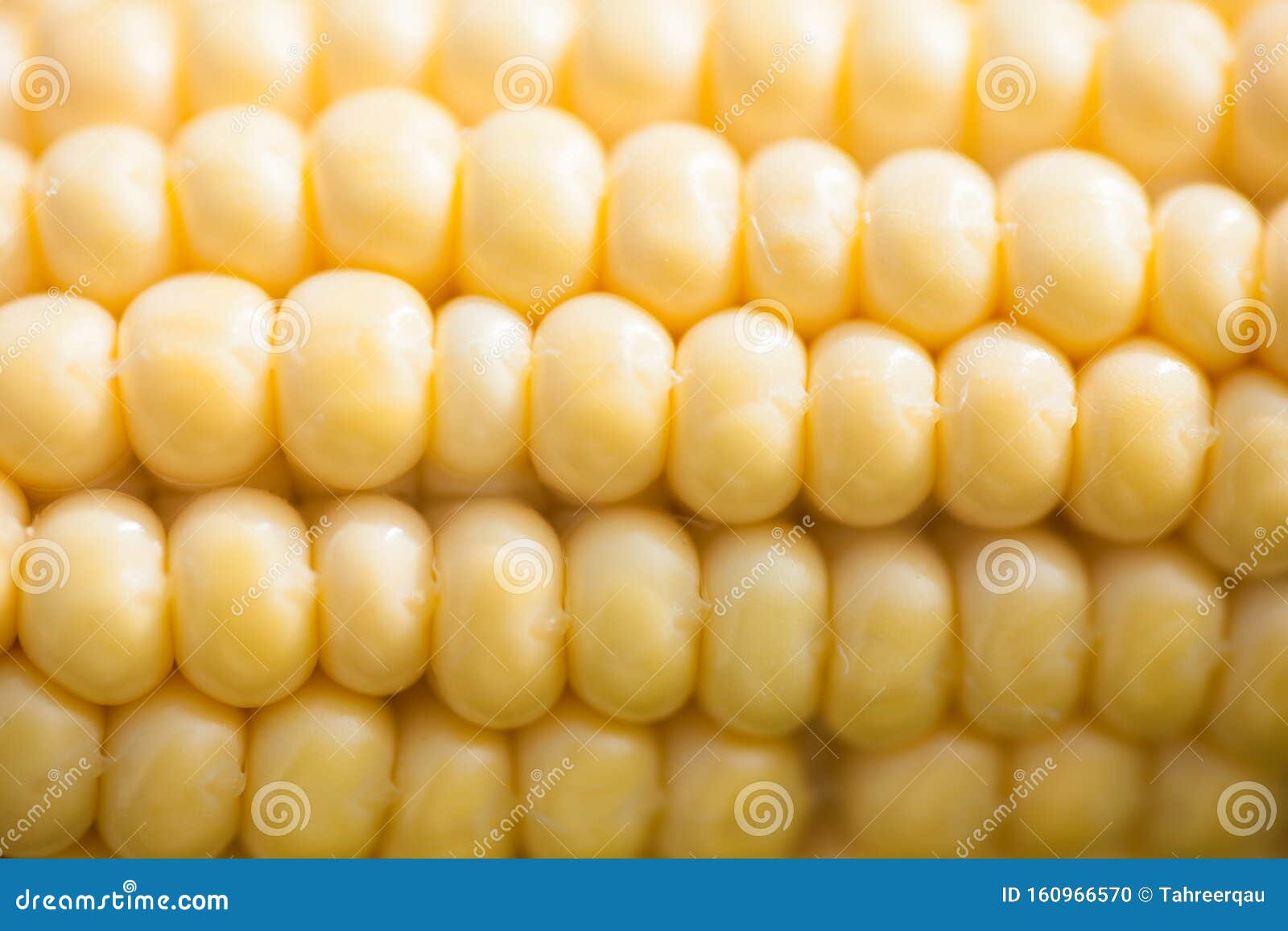 Corn macro stock photo. Image of ingridient, soup, maze - 160966570