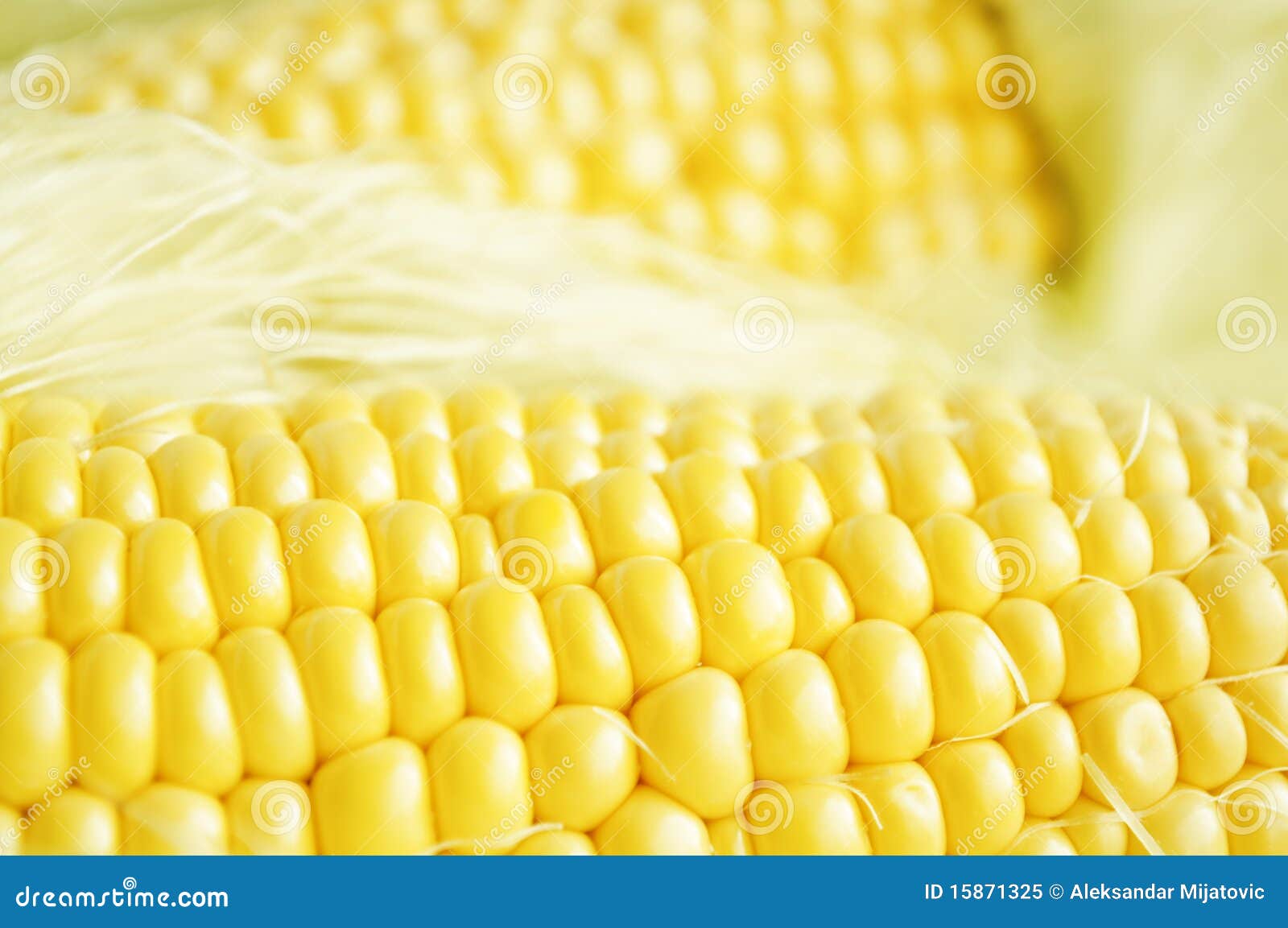Corn macro shot stock image. Image of culture, background - 15871325