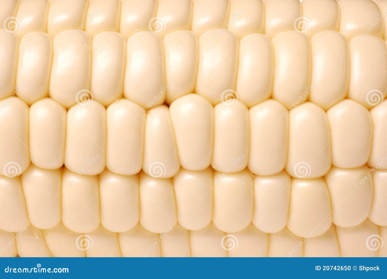 Corn Macro Texture Picture. Image: 20742650