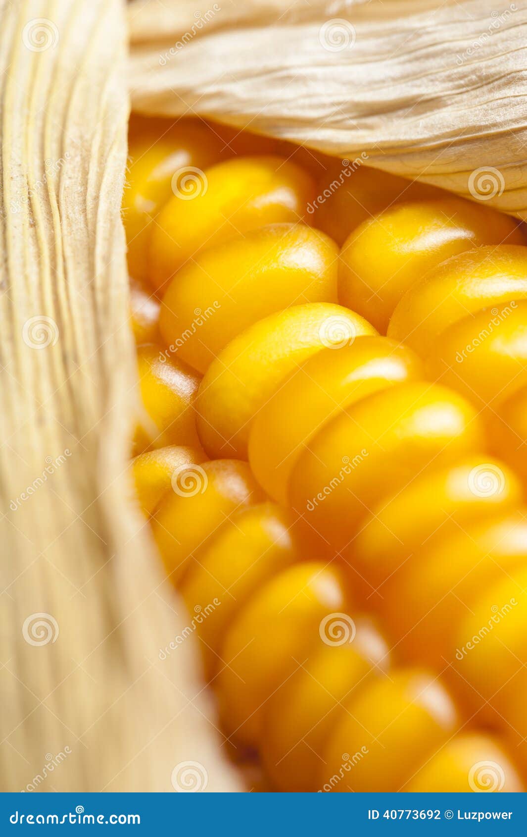 Corn, Macro, Yellow, Ripe, Appetizing, Food, Healt Stock Photo - Image ...