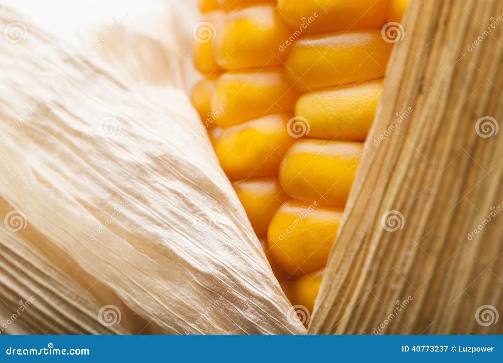 Corn, Macro, Yellow, Ripe, Appetizing, Food, Healt Stock Image - Image ...