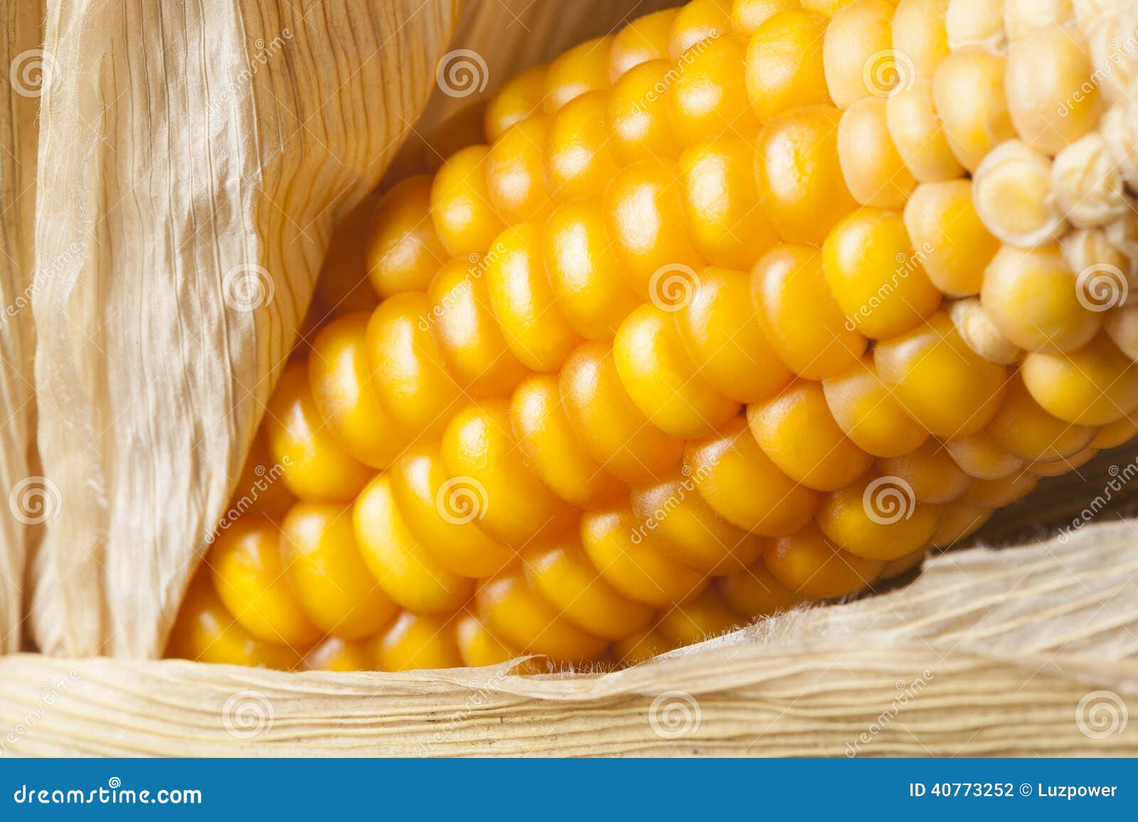 Corn, Macro, Yellow, Ripe, Appetizing, Food, Healt Stock Photo - Image ...