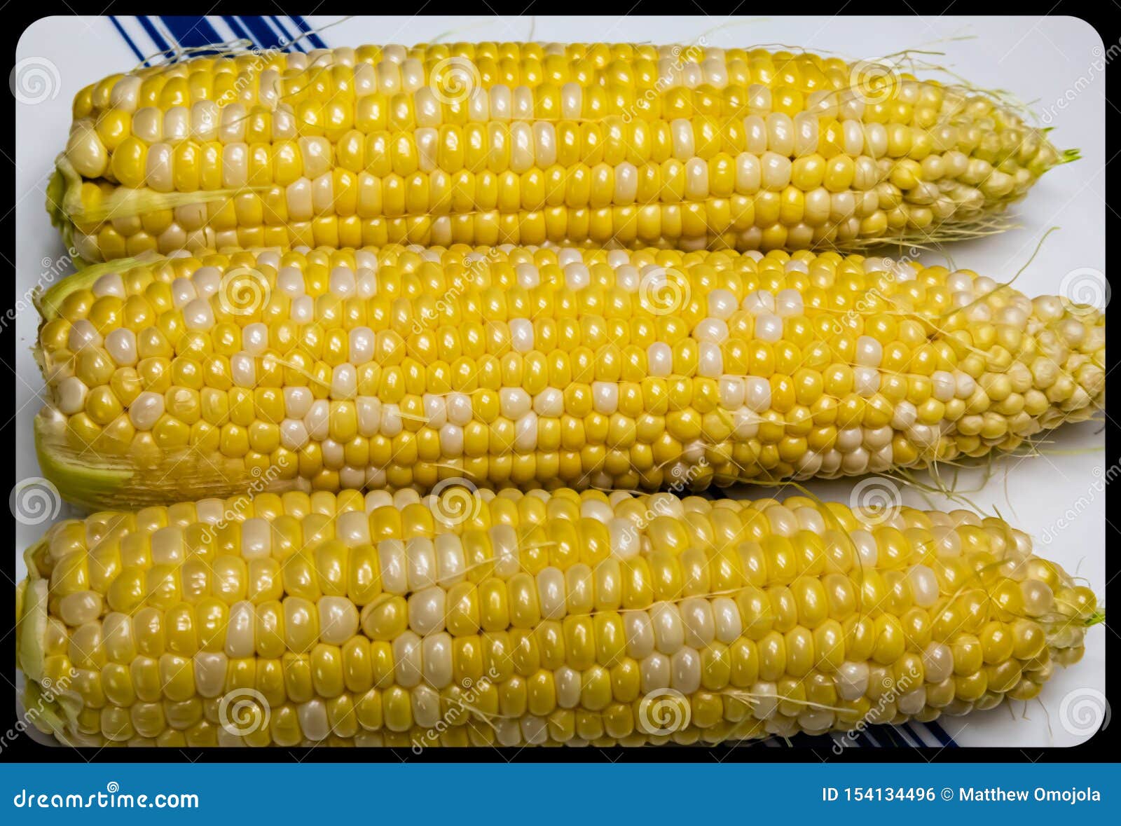 Corn maize on the cob stock photo. Image of corn, silk - 154134496