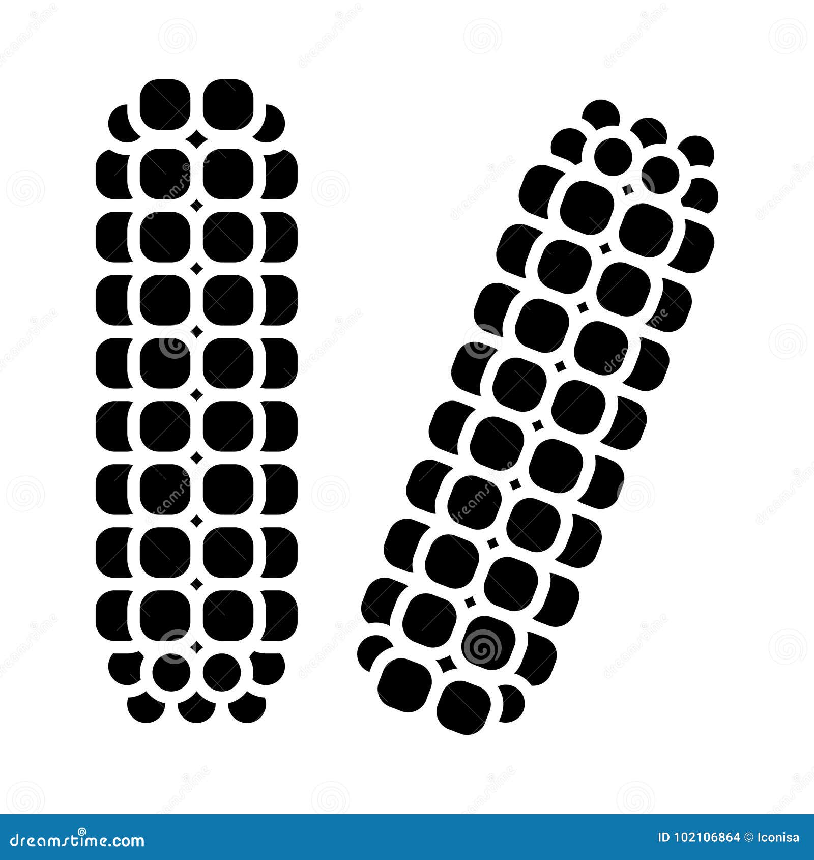 Corn Maize Icon, Vector Illustration, Sign on Isolated Background Stock ...