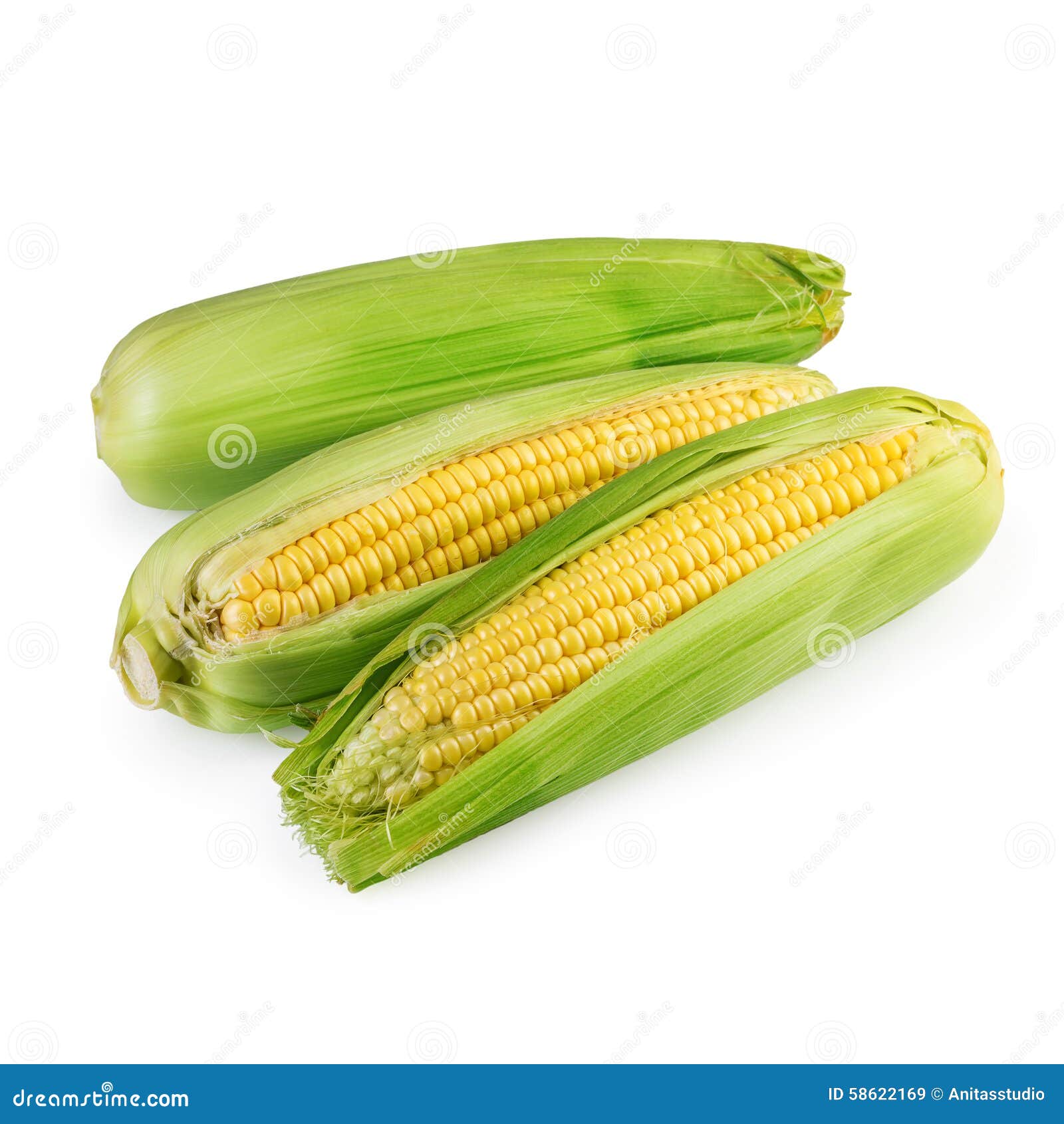 Corn Maize Isolated stock image. Image of health, meal - 58622169