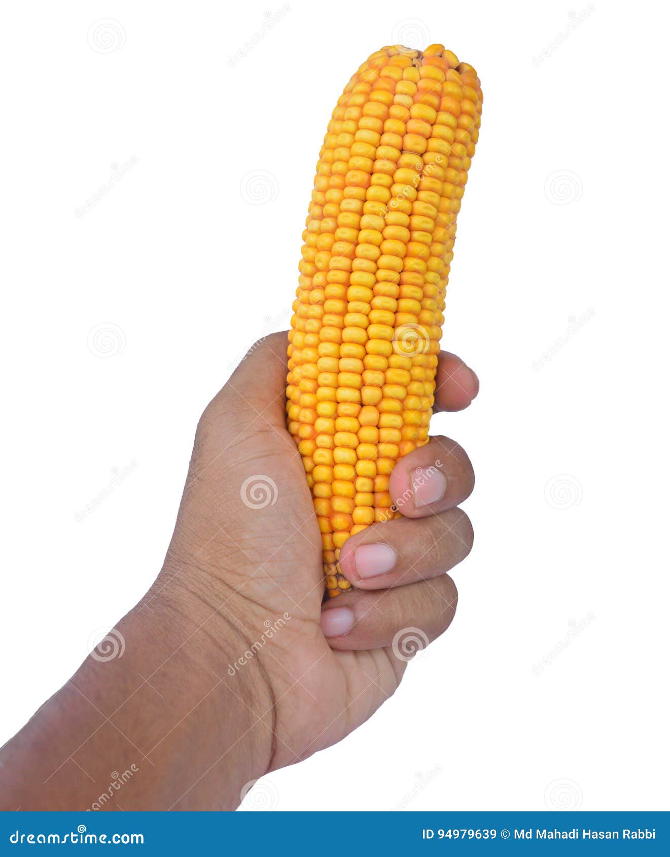 Corn, Maize Isolated On White Background Stock Image - Image of testy ...