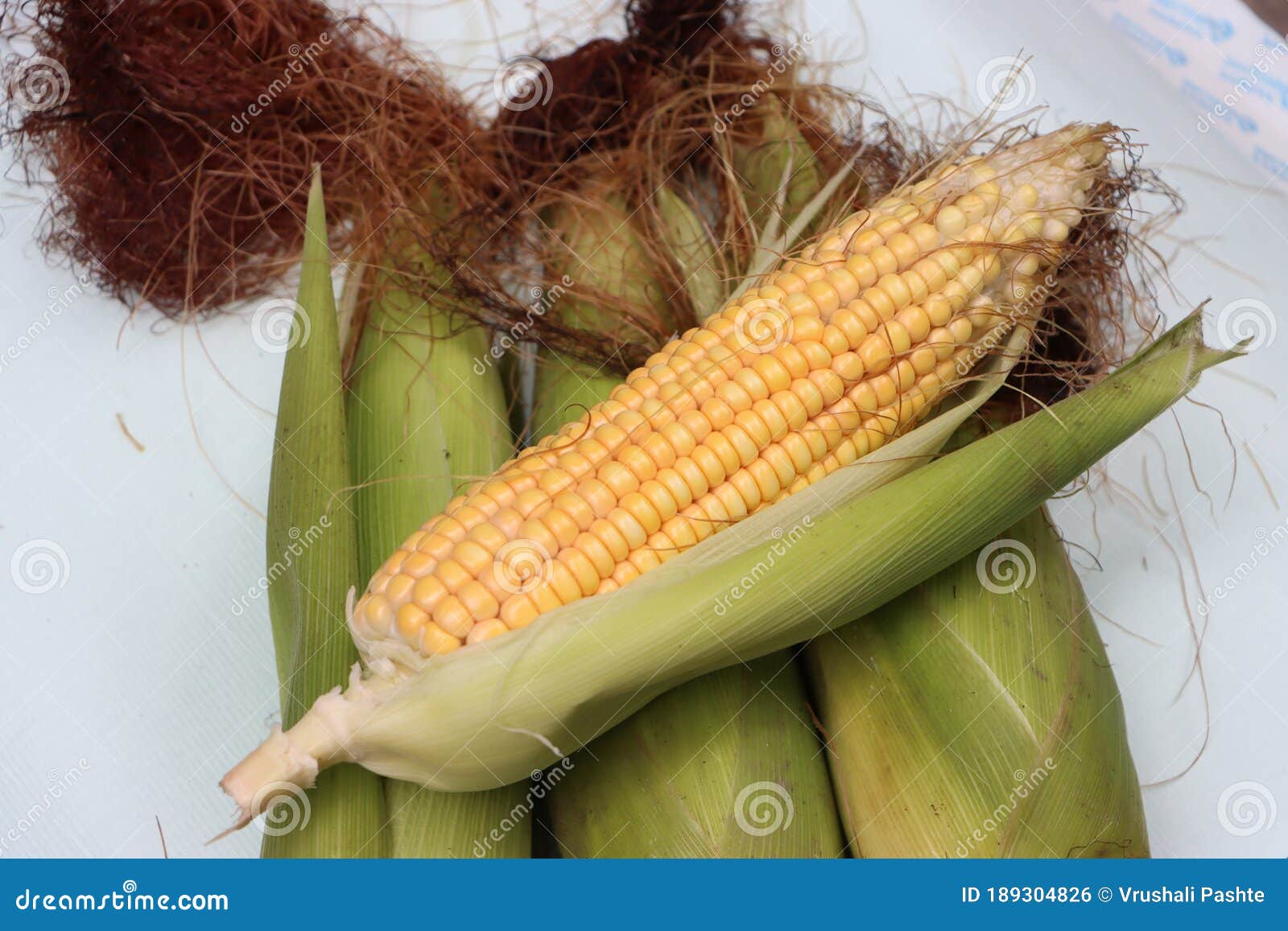 Corn or Maize Kernel with Grains Stock Photo - Image of countryside ...