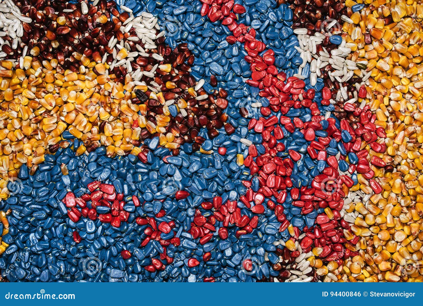 Corn Maize Seed Colorful Background Stock Photo - Image of chemically ...