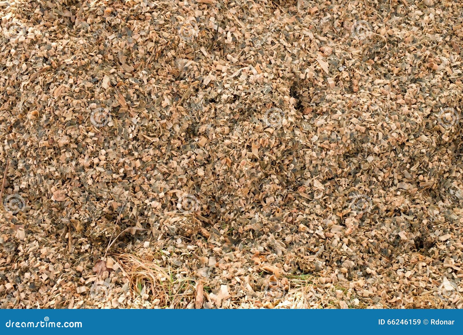 Corn Maize Silage Milled As Animal Feed. Waste from Corn Shelling ...