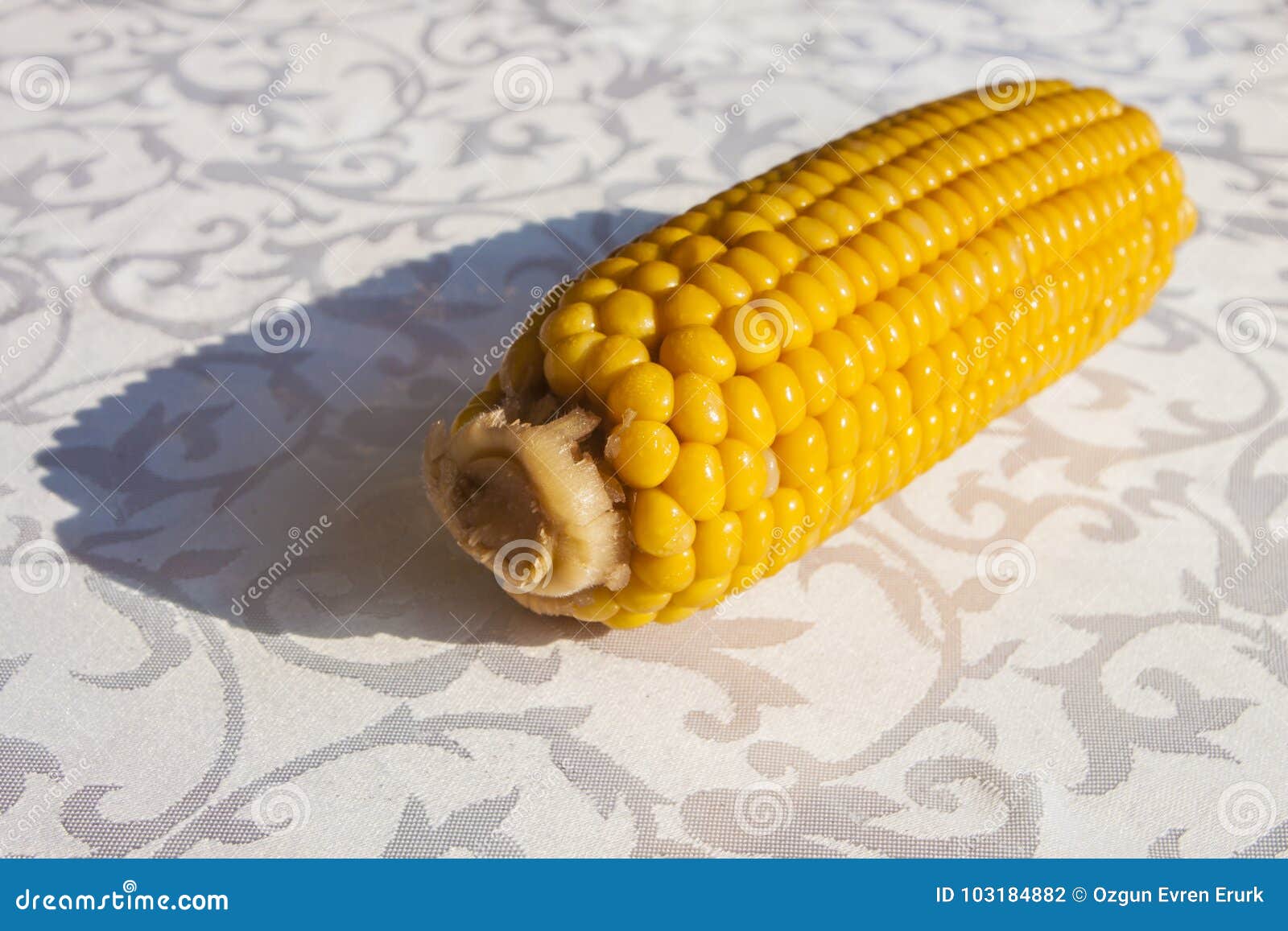 Corn, maize, sweet corn stock photo. Image of health - 103184882