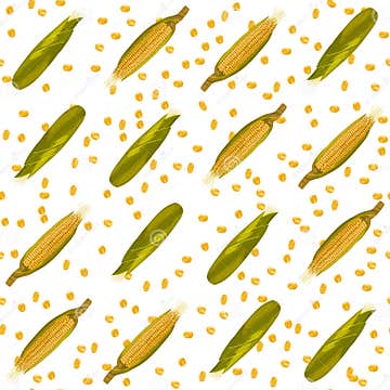 Corn Maize Vector Seamless Pattern. Realistic Botanical Illustration ...