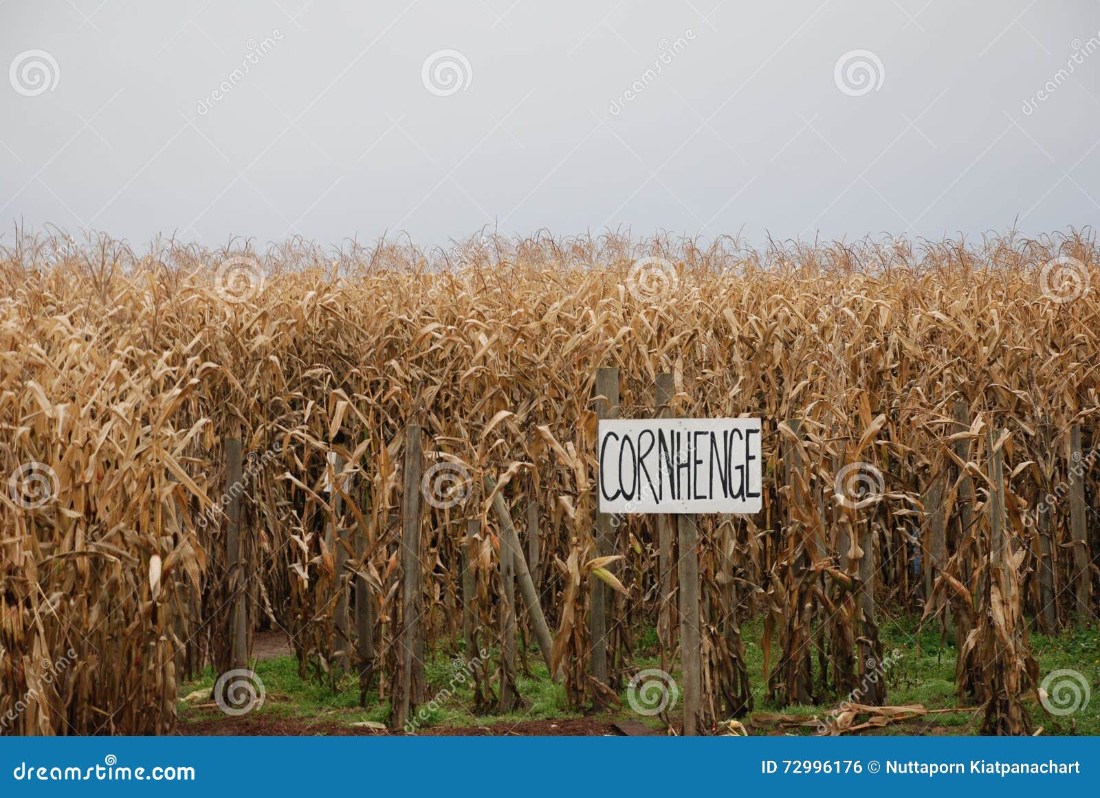Corn Henge Stock Photos - Free & Royalty-Free Stock Photos from Dreamstime