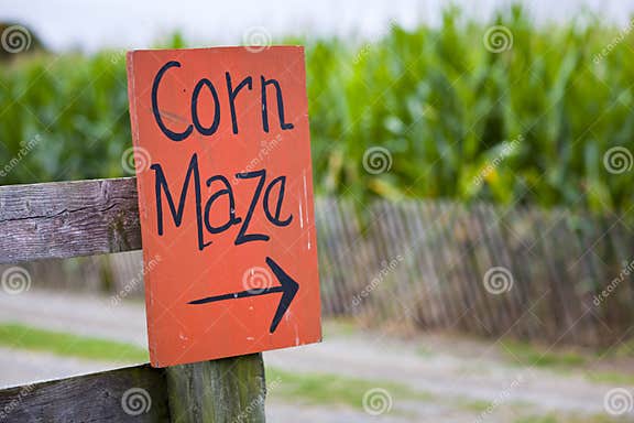 Corn maze sign stock photo. Image of maze, arrow, pumpkin - 27072360