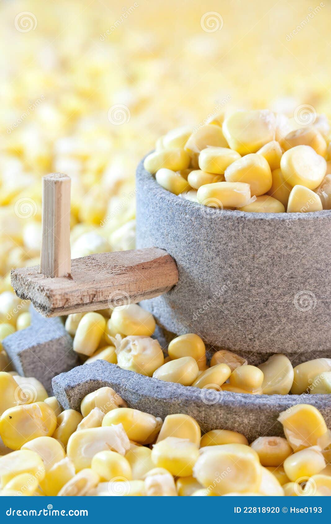 Corn, coarse grain stock photo. Image of coarse, farming - 22818920