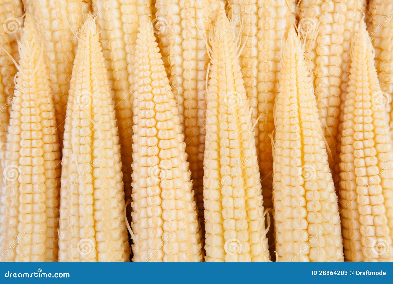 Corn mini stock image. Image of snack, white, tile, sweet - 28864203