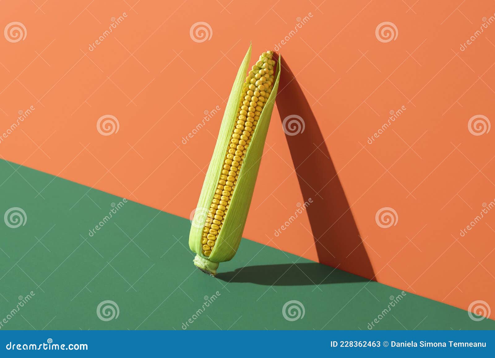 Corncob Minimalist Stock Photos - Free & Royalty-Free Stock Photos from ...