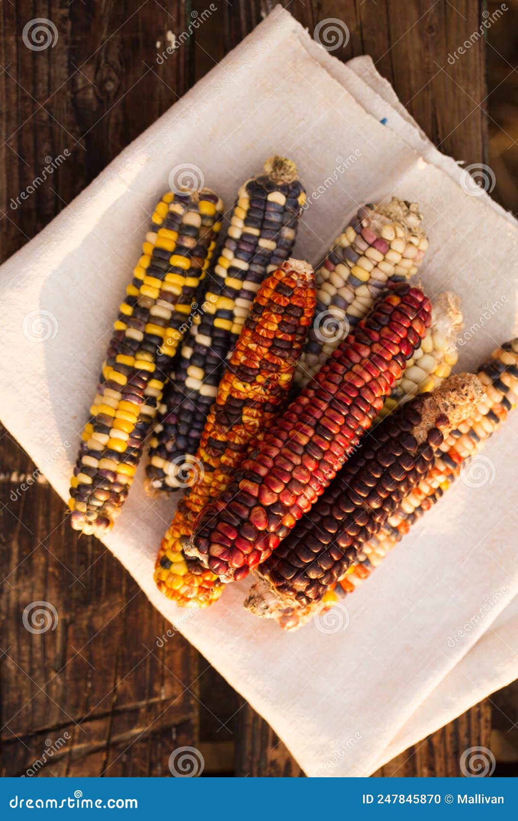 Mosaic corn on a napkin stock photo. Image of plant - 247845870