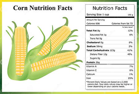 Corn Nutrition Facts stock vector. Illustration of ingredient - 56572412