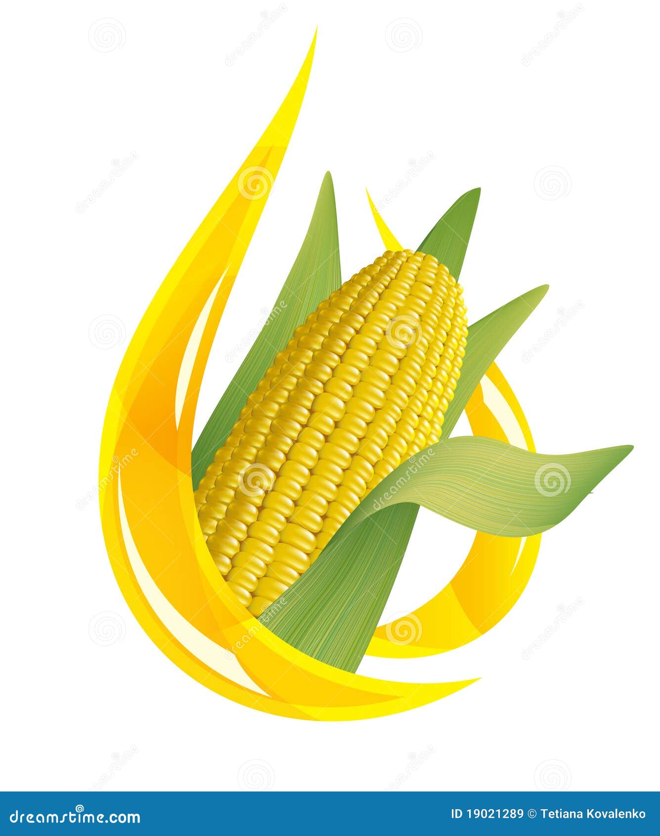 Corn Oil. Stylized Drop Of Oil, And Corn Cob. Cartoon Vector ...