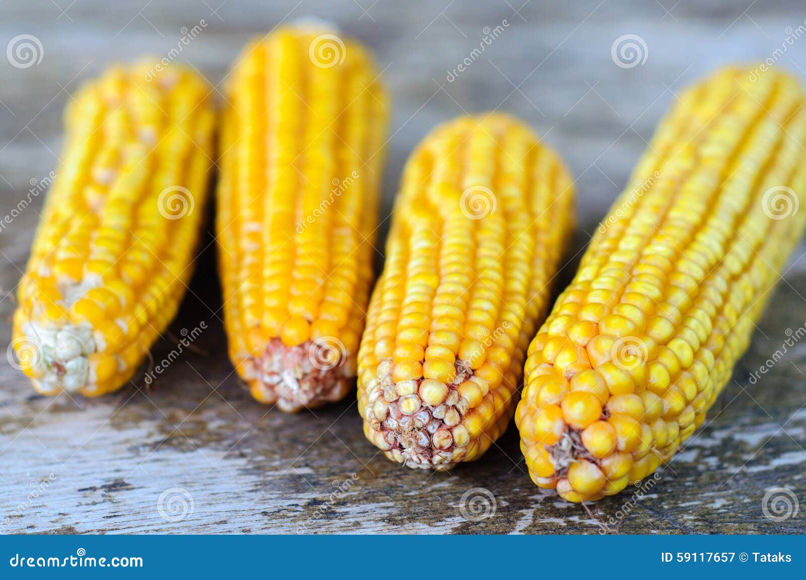 Corn on the Old Rustic Table Stock Image - Image of corn, yellow: 59117657