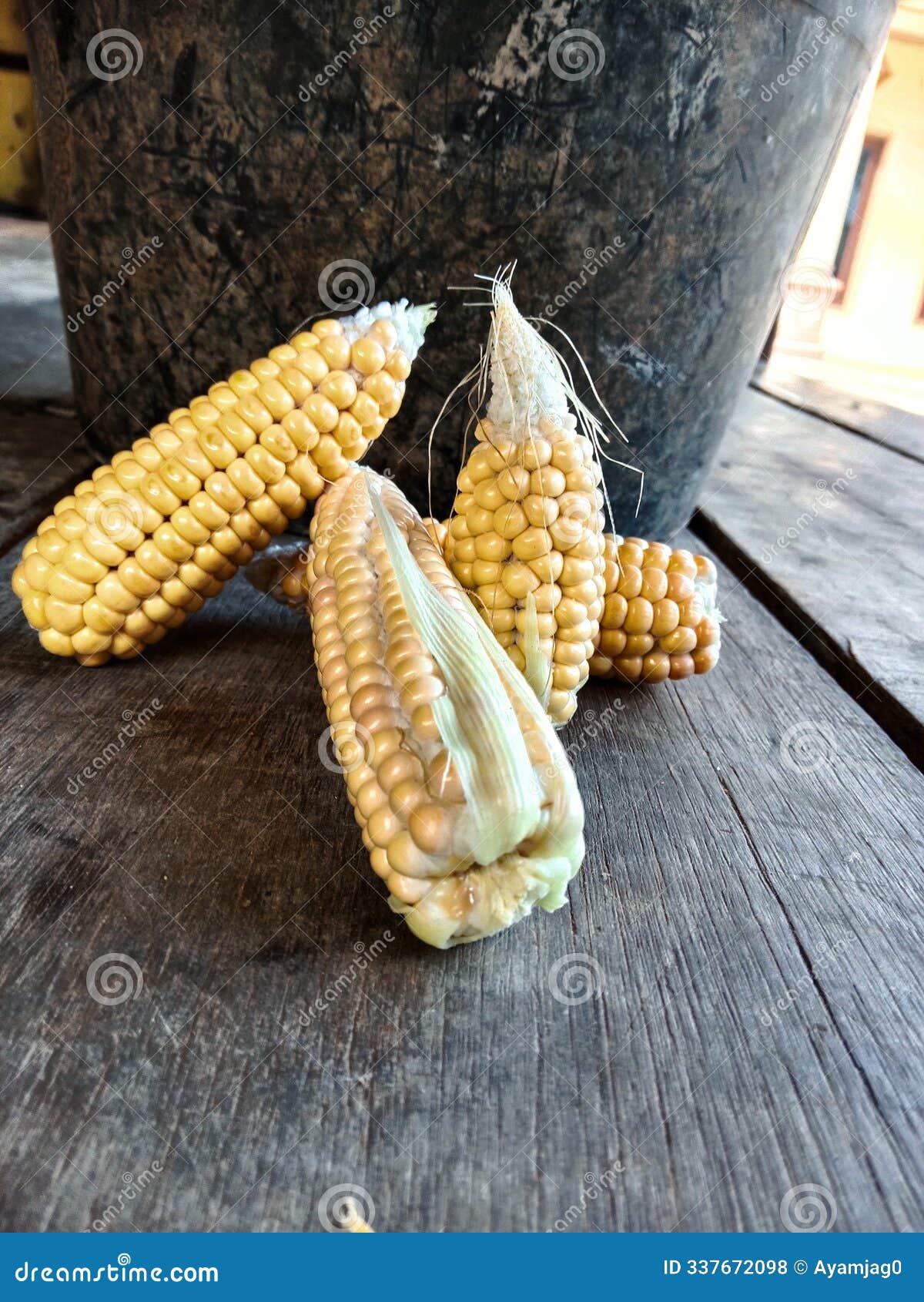 Corn is One of the daily Foods in the Eastern Part of East Java Stock ...