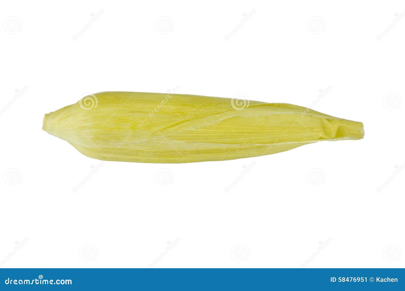 Corn one stock image. Image of grain, ripe, kernels, macro - 58476951