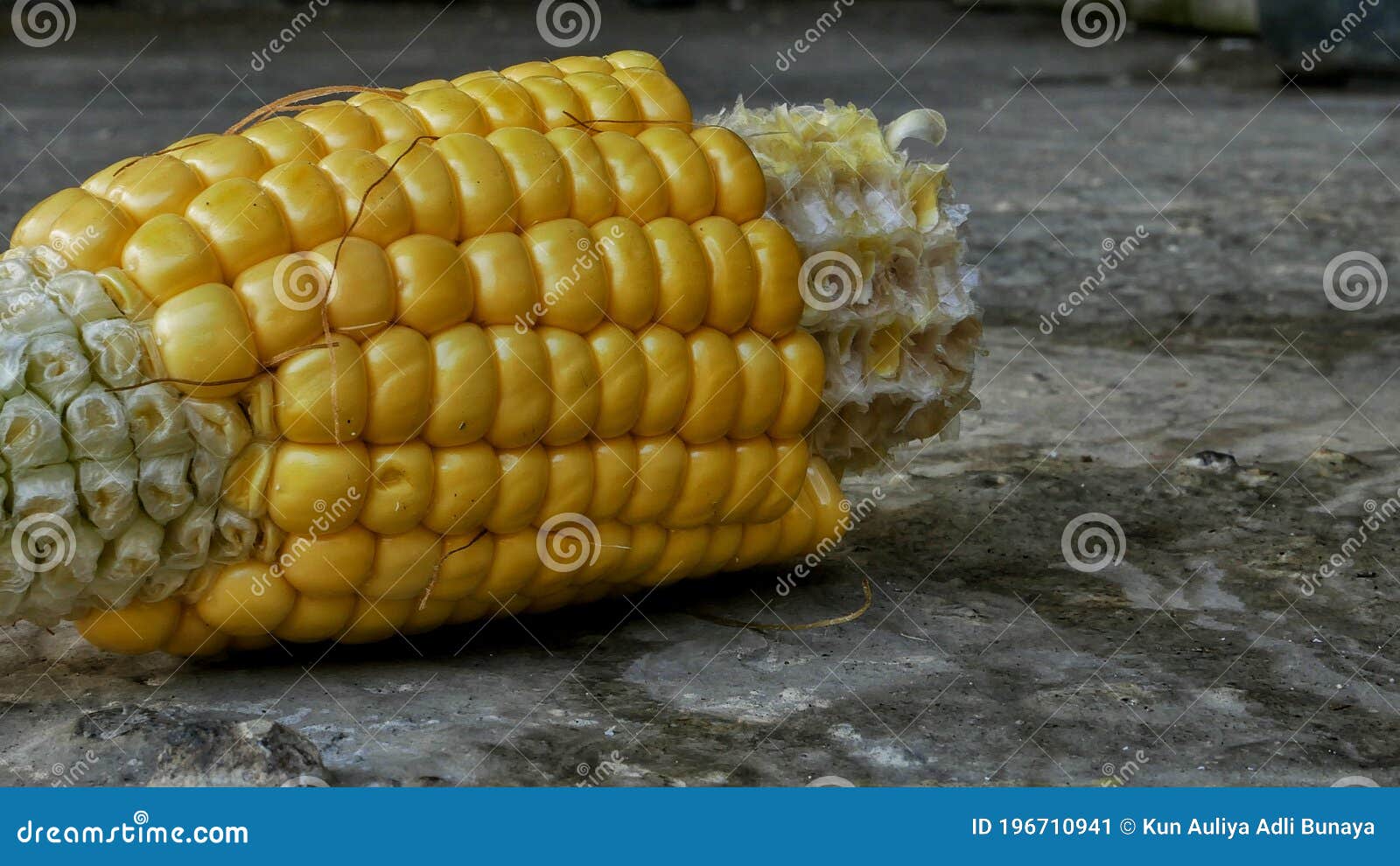 Corn is One of the Staple Foods for Indonesian People Stock Image ...