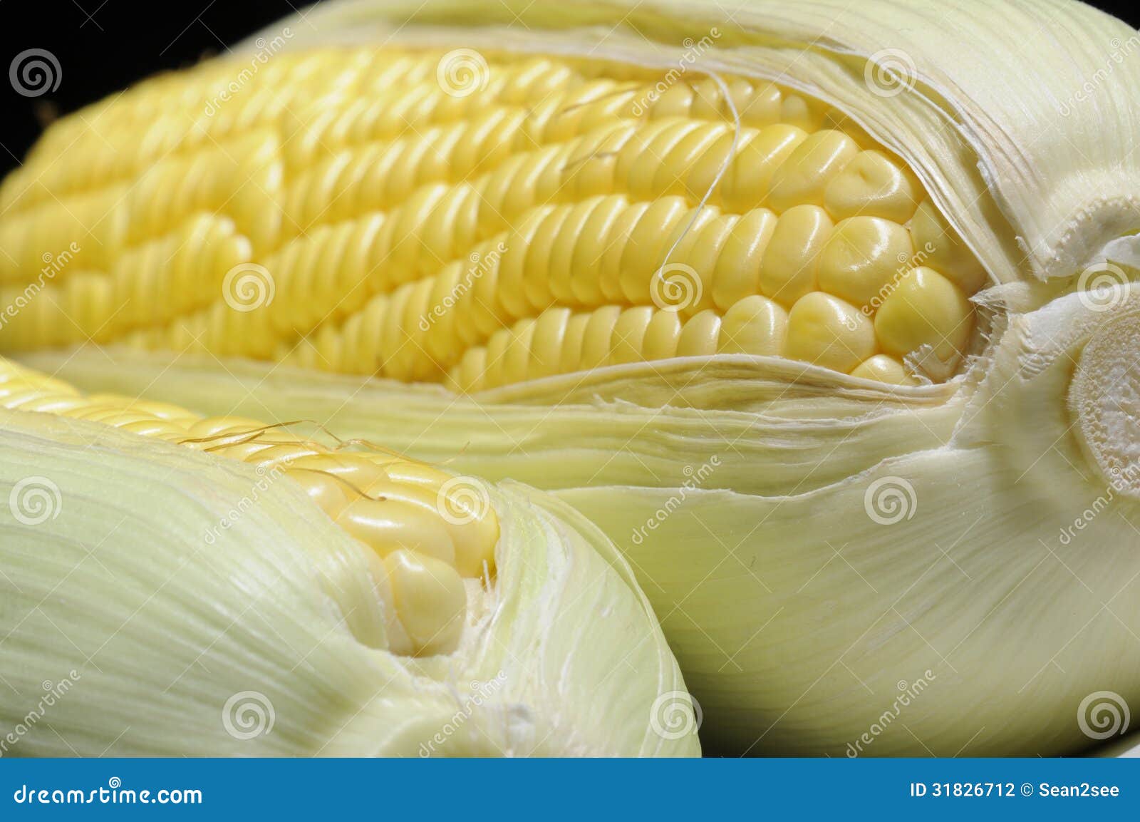 Corn, organic food stock photo. Image of food, green - 31826712