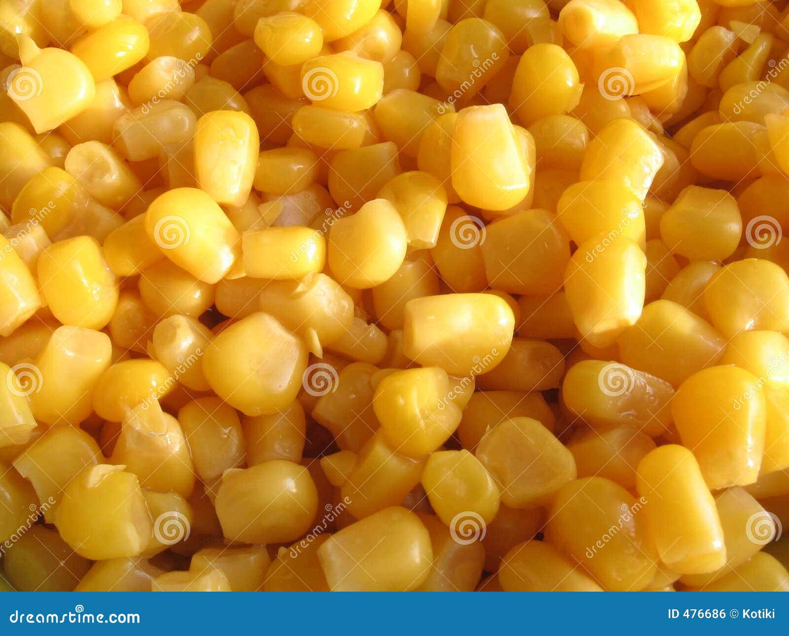 Corn pattern stock photo. Image of macro, nutrition, filler - 476686