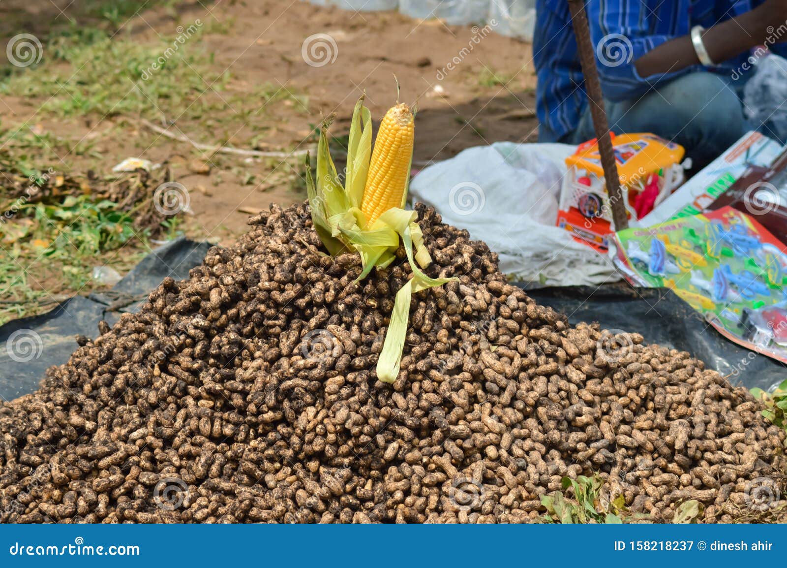 Corn and Peanuts,Raw Peanuts and Corn Heap,top View Peanuts,top View ...