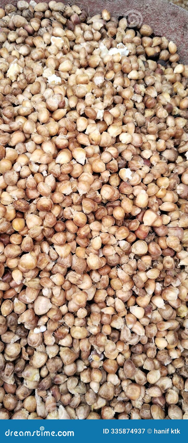 Corn Pelled Texture Background Stock Photography Stock Image - Image of ...