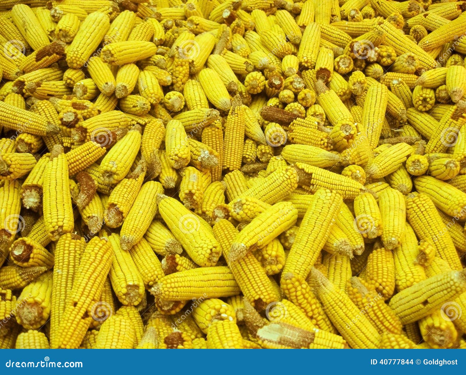 Corn in a pile stock photo. Image of health, grain, abstract - 40777844