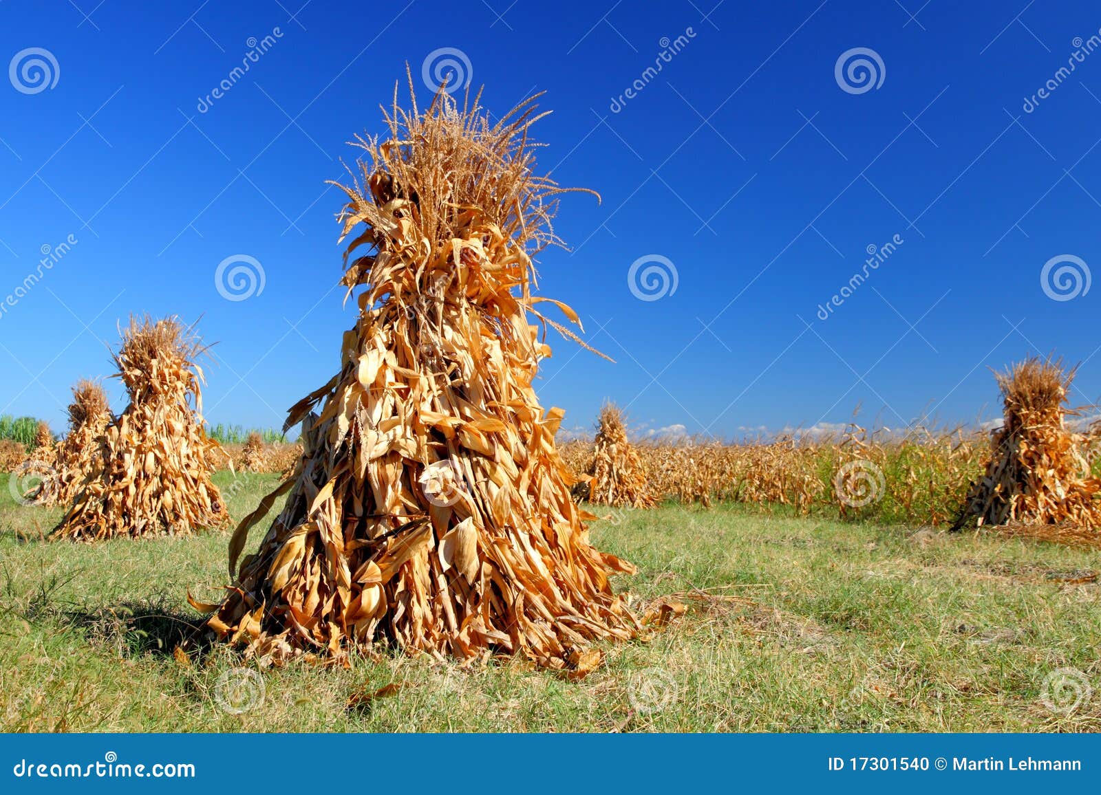Maize Pyramid Stock Photos - Free & Royalty-Free Stock Photos from ...
