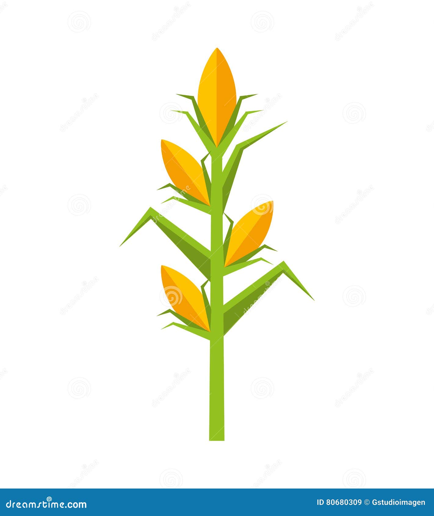 Corn plant isolated icon stock vector. Illustration of corn - 80680309
