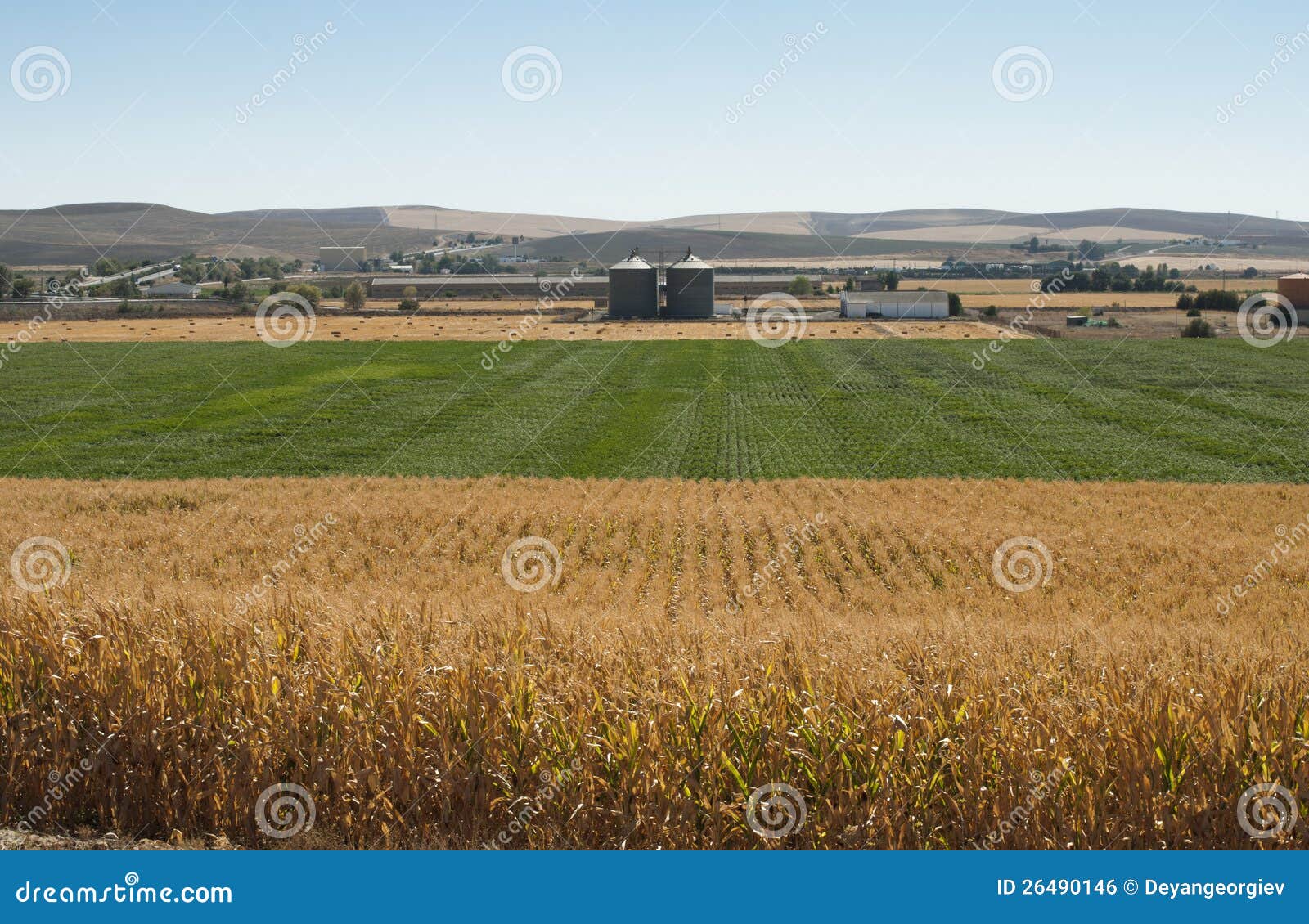 Corn Plantation and Processing Plant Factory Stock Photo - Image of ...