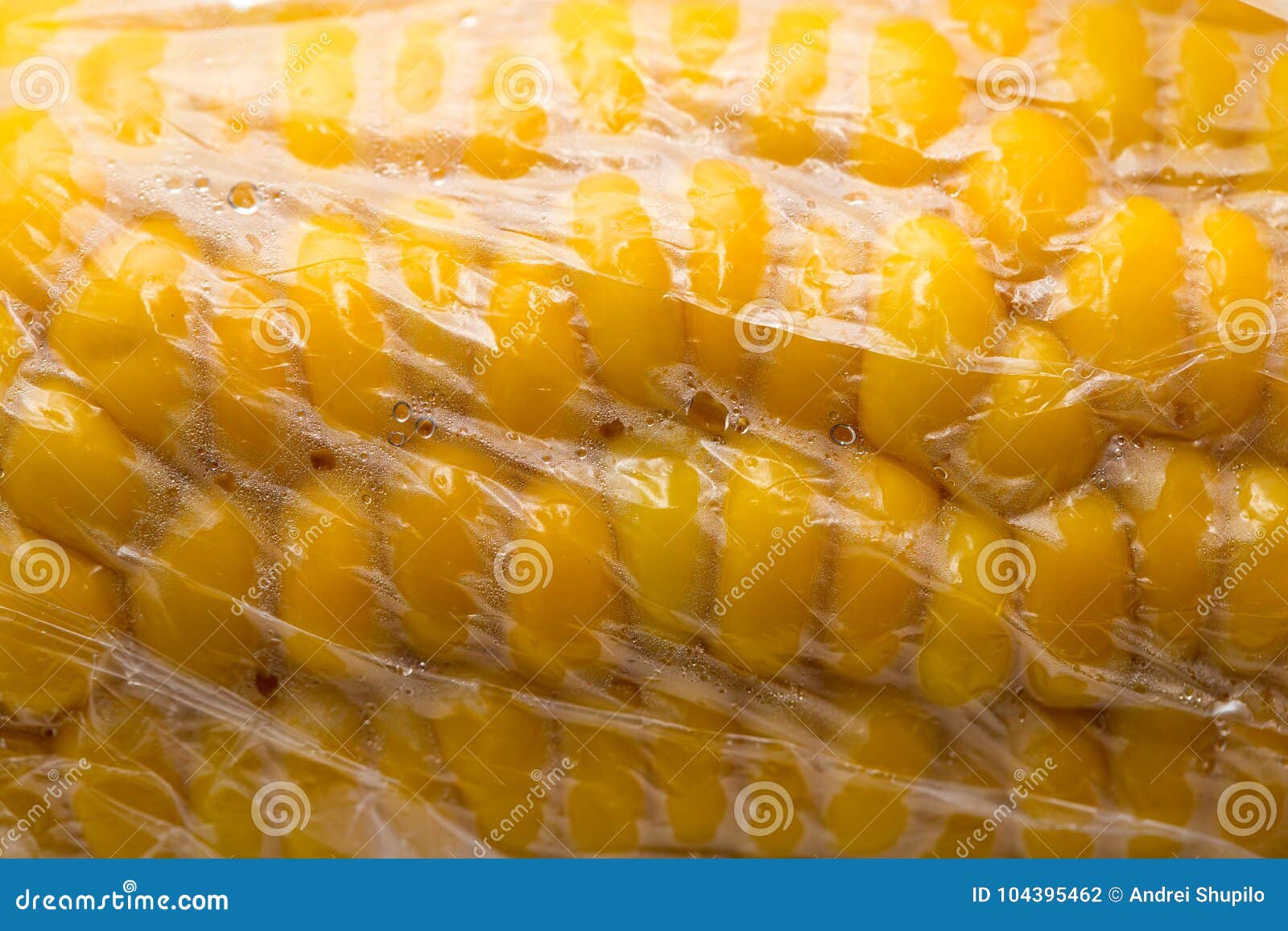 Corn in a Plastic Bag. Macro Stock Photo - Image of texture, cutout ...