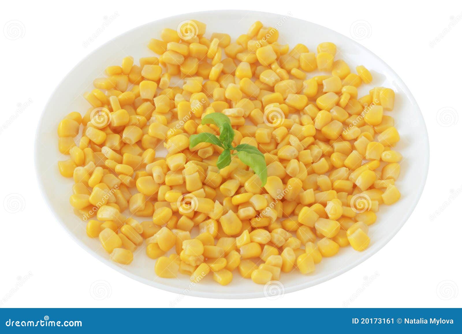 Corn on a plate stock image. Image of vegetarian, dinner - 20173161