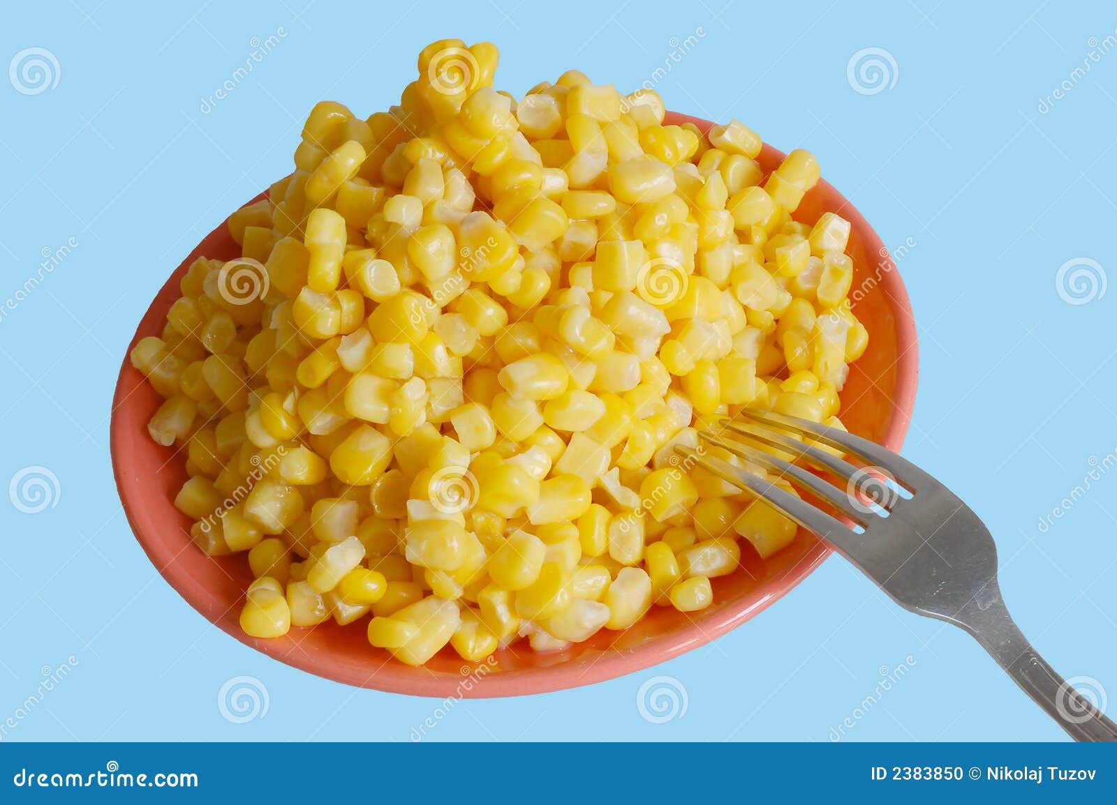 Corn on plate stock photo. Image of isolated, grocery - 2383850