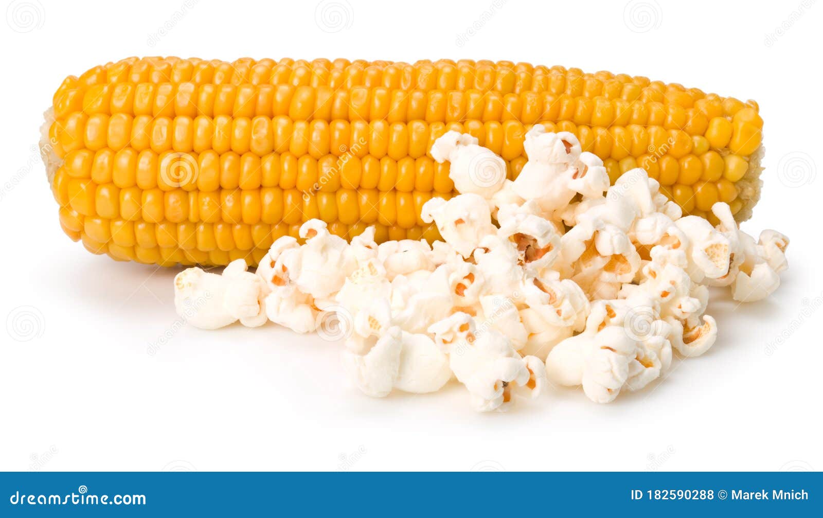 Corn and popcorn stock photo. Image of sweet, crop, shot - 182590288