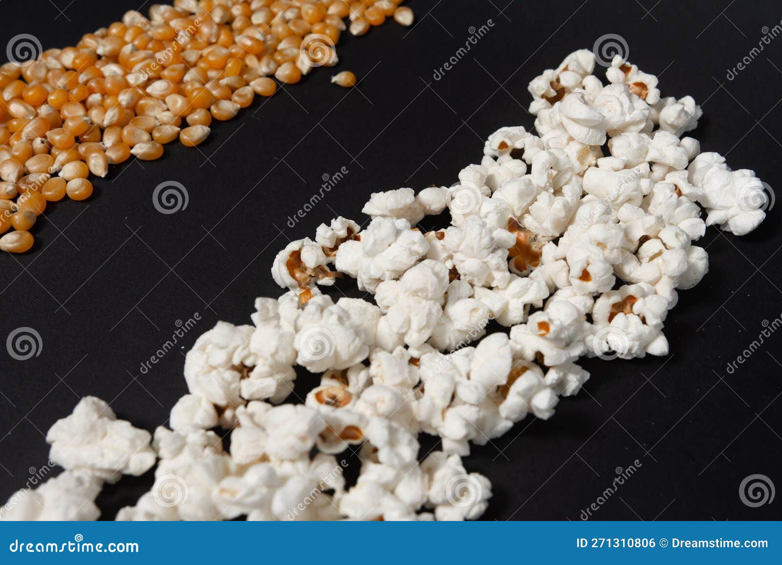 Corn and Popcorn Grains in Two Rows on a Black Background. Stock Photo ...