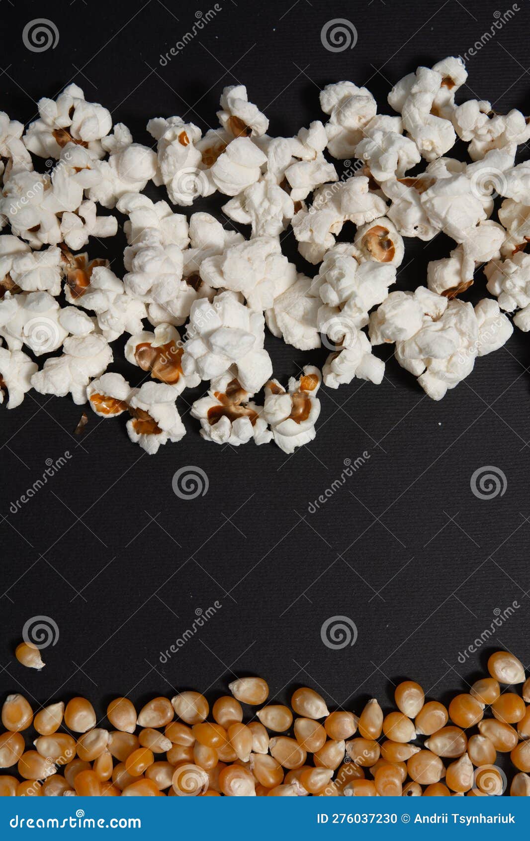 Corn and Popcorn Grains in Two Rows on a Black Background. Stock Photo ...
