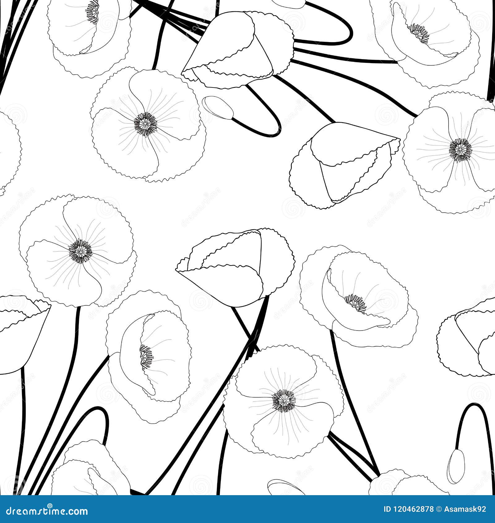 Corn Poppy on White Background. Vector Illustration Stock Vector ...