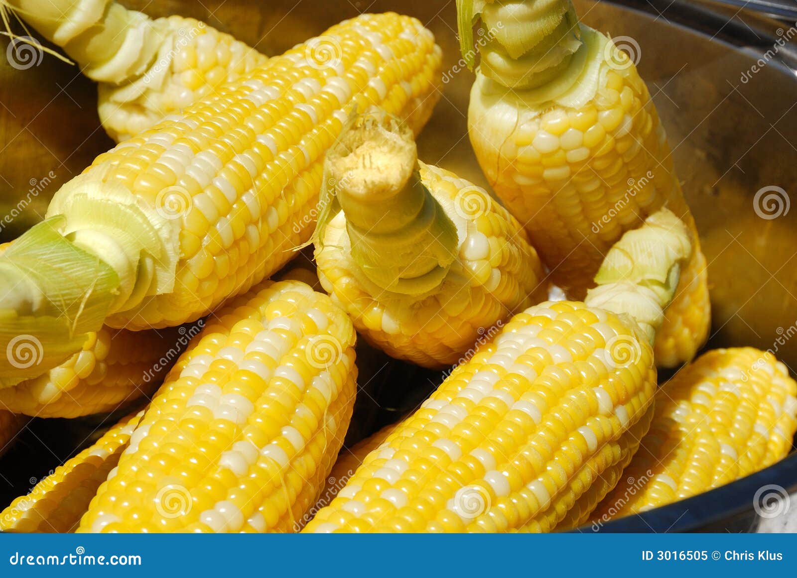 Corn pot stock image. Image of market, crop, vegetables - 3016505