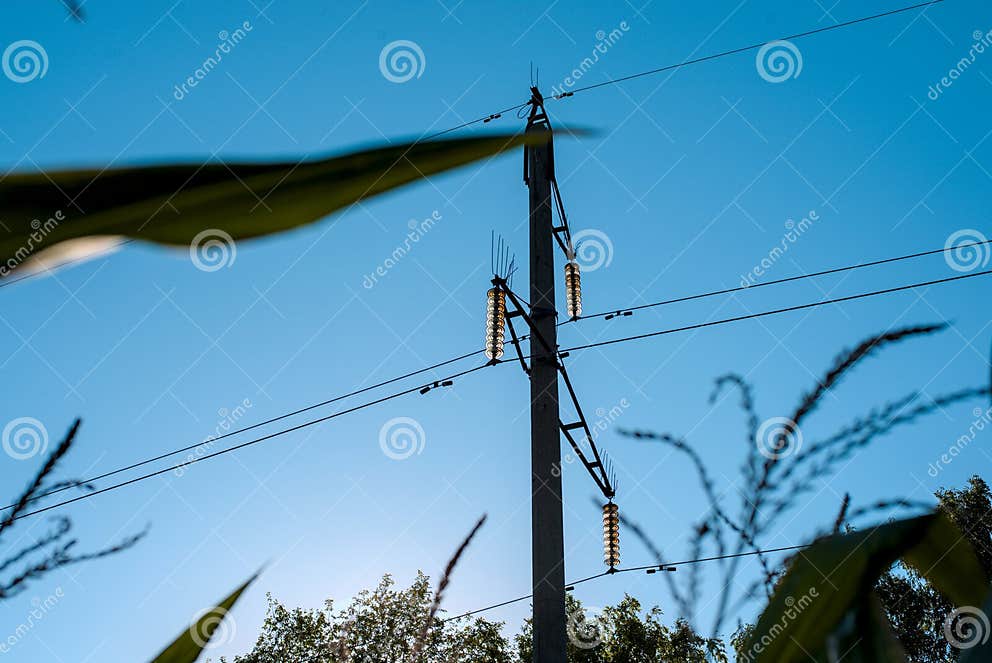 Corn, Power Line and Blue Sky Stock Image - Image of farmland, rural ...
