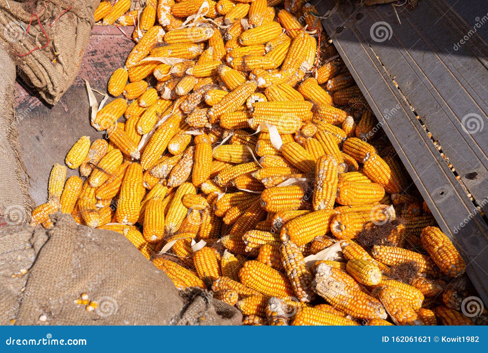 Corn Processing Factory, Food Industry ,raw Food Stock Image - Image of ...