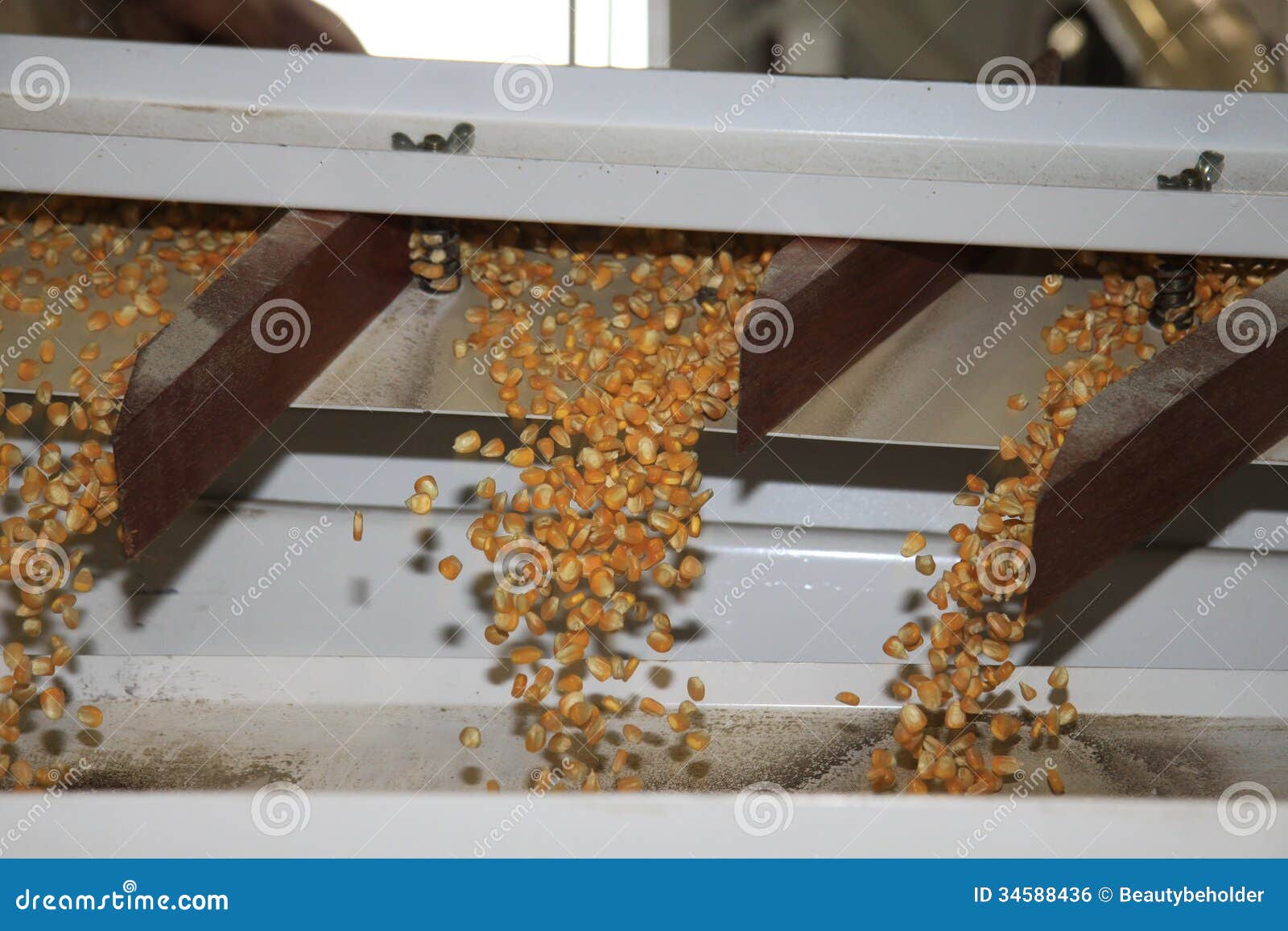 Corn processing stock photo. Image of factory, processing - 34588436