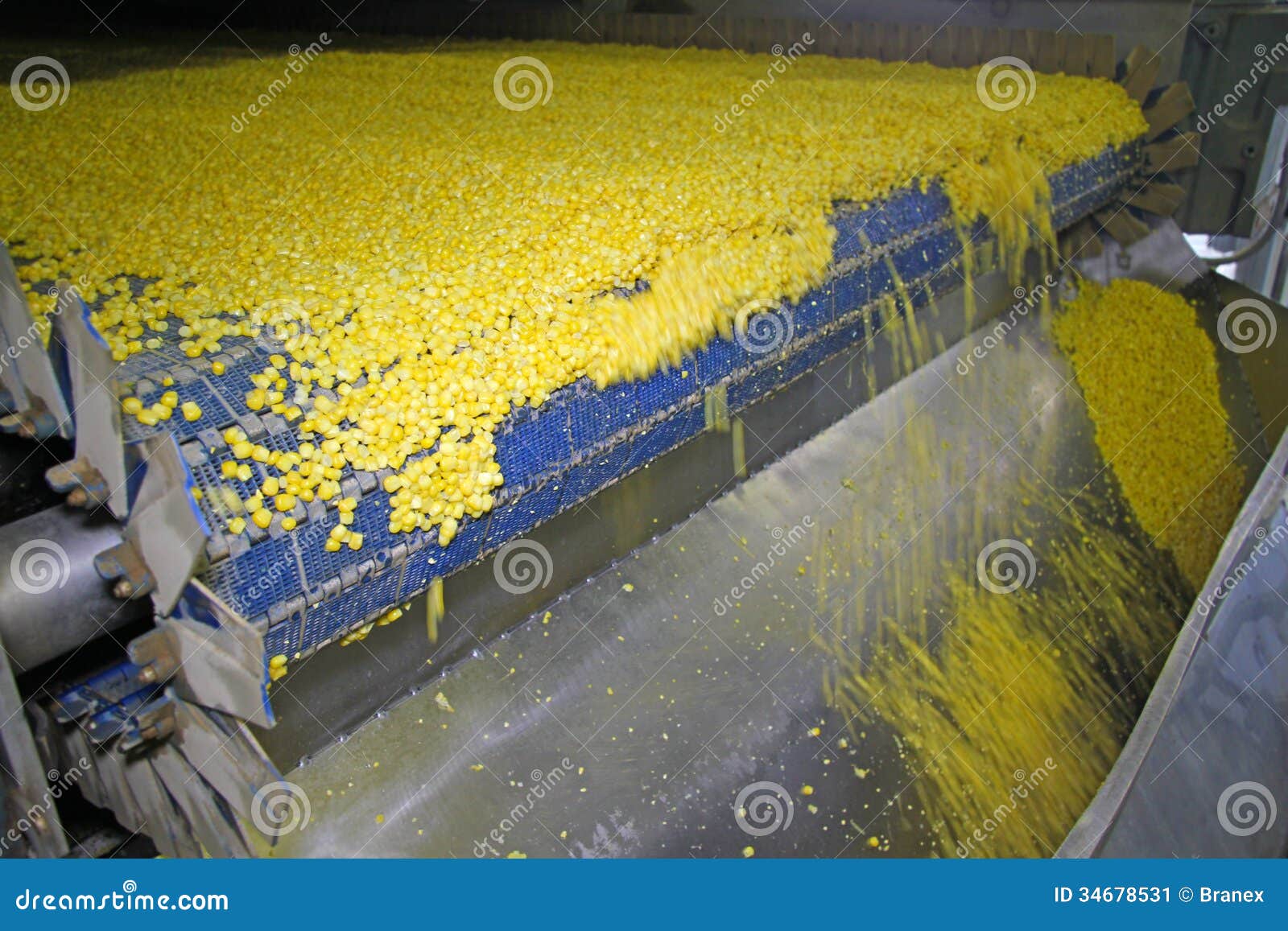 Corn production stock image. Image of consume, farm, belt - 34678531
