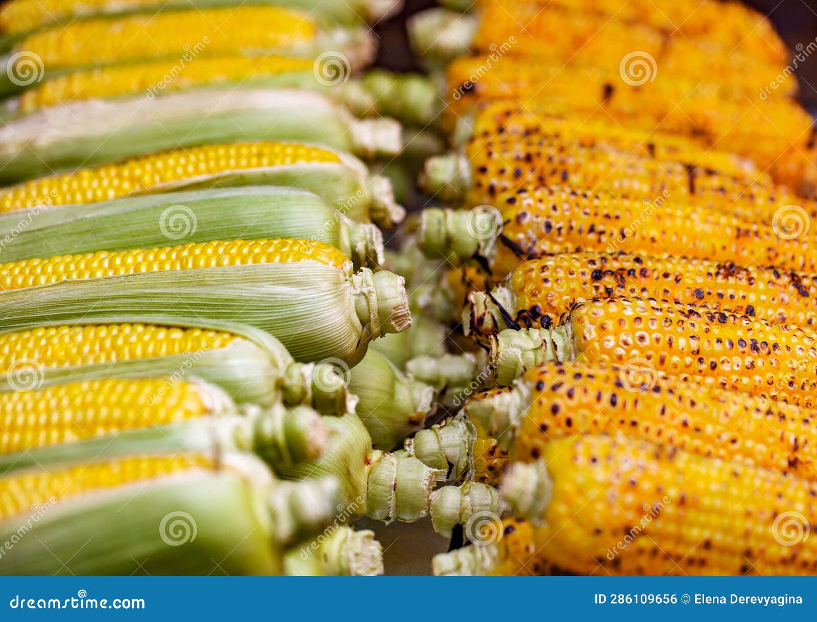 Corn Raw and Baked, Cobs Stacked in a Row, Selective Focus Stock Photo ...