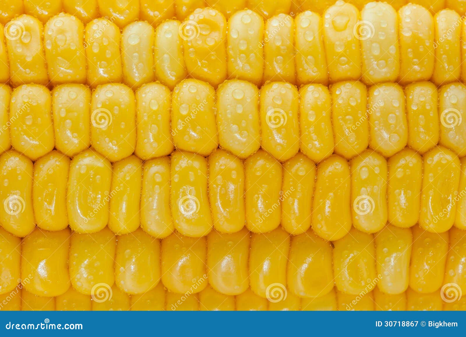 Corn stock image. Image of closeup, green, golden, appetizing - 30718867