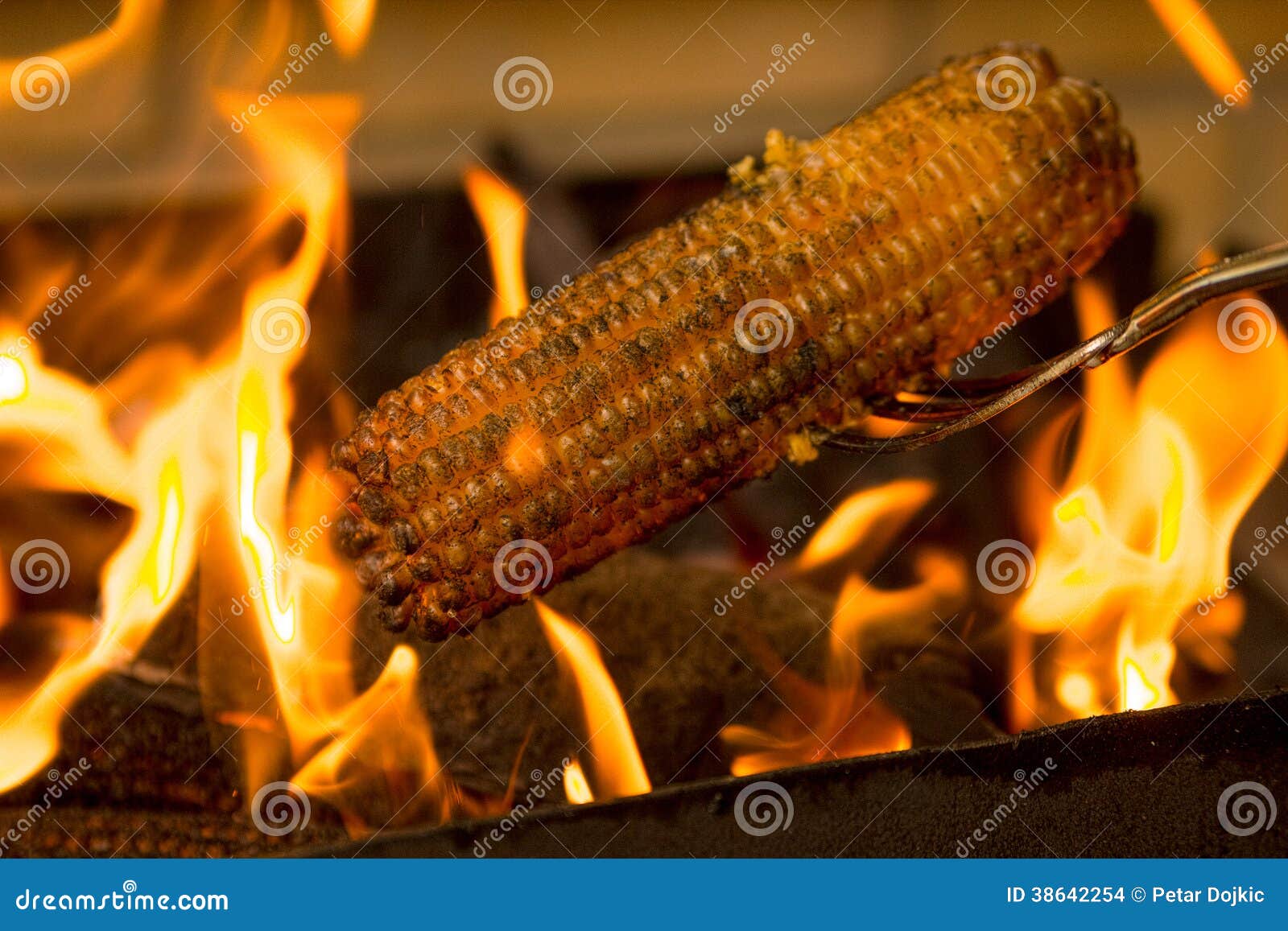 Corn Roasting Barbecue on Coal Fire Stock Photo - Image of grain, fresh ...